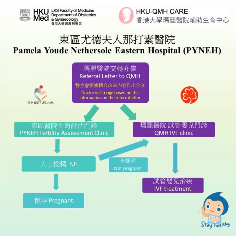 其他中心 – 香港大學瑪麗醫院輔助生育中心